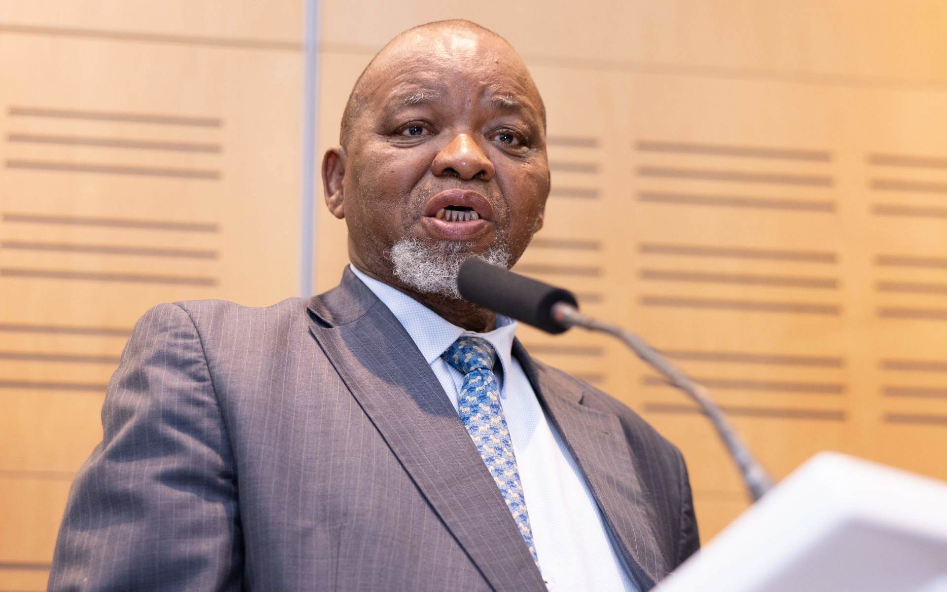 Minister Mantashe to Speak at G20 African Energy Chamber (AEC) African ...